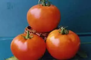 Características do crecente Tomato Vologda F1 ea súa descrición