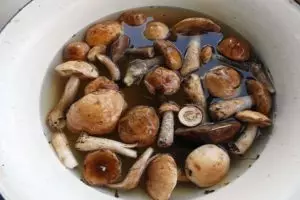 十大食譜如何簡單地用鹽蘑菇，熱冷的方式