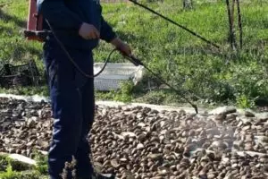 Ferramentas para processamento de batatas e regras para o procedimento