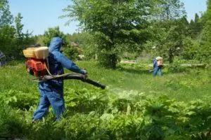 Beskrivning av de bästa herbiciderna från BorShevik och behandlingsregler