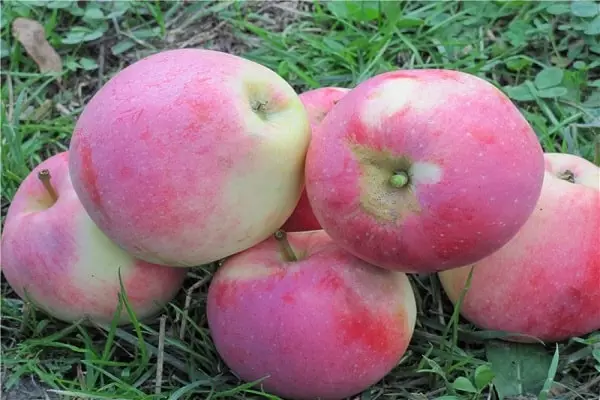 A bayyane apples