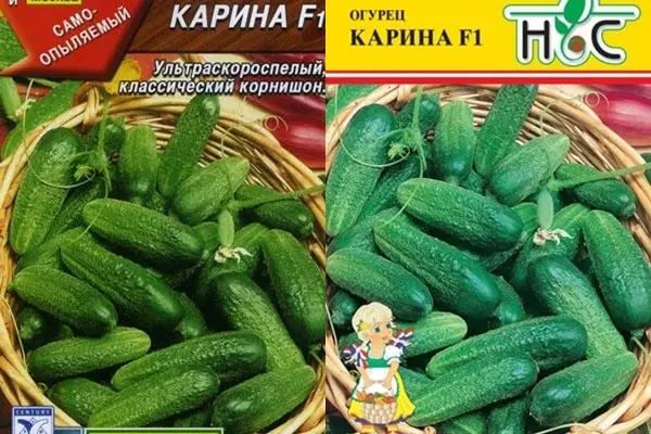 Cucumber Karina