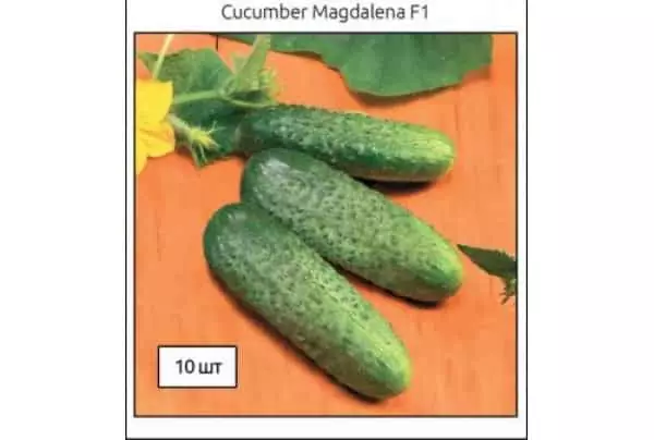 Магдалена краставица Ф1.
