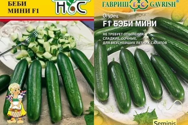 Pitika mini cucumber