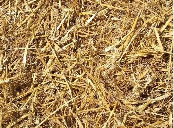 Mulching straw pluses and cons