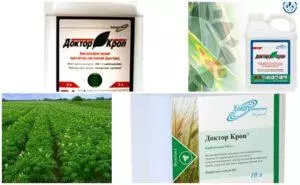 Sammensetning og produsent av fungicid Doctor Crop, instruksjoner for bruk