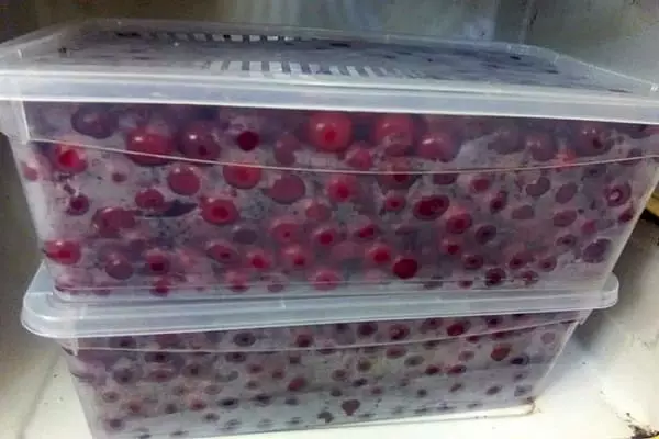 Berries fil-friġġ