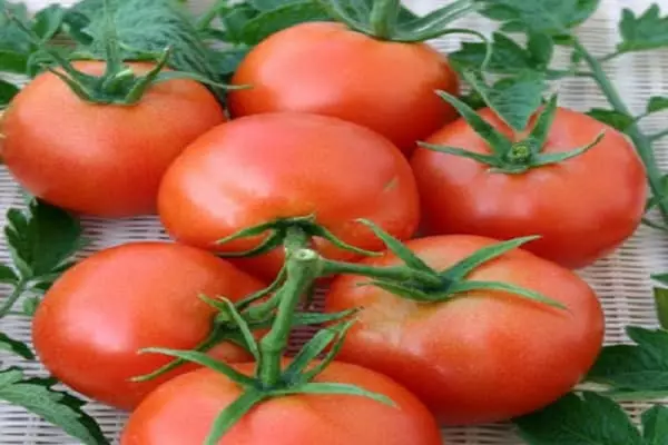 Pomidor dunna