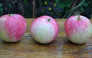 Descrição e características da Variedade da Apple Bashkir Beauty, vantagens e desvantagens
