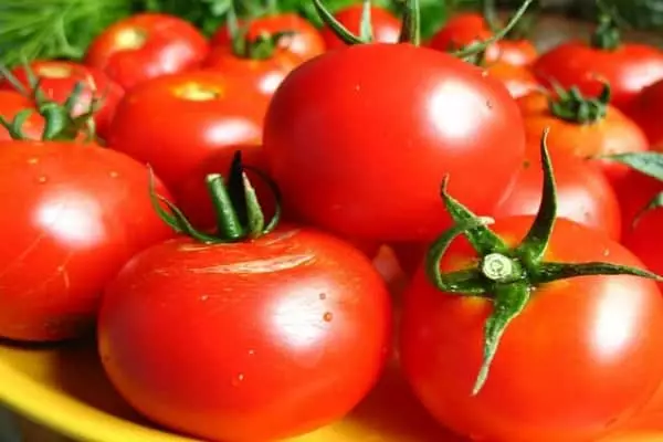 Awọn tomati tomati fun agbegbe vitbsk: atunyẹwo ti o dara julọ pẹlu awọn fọto