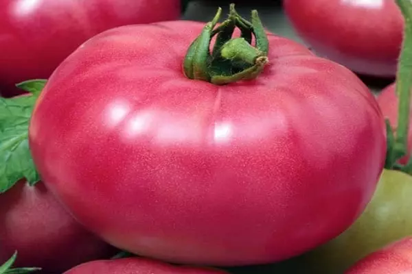 Tomati jabinzon