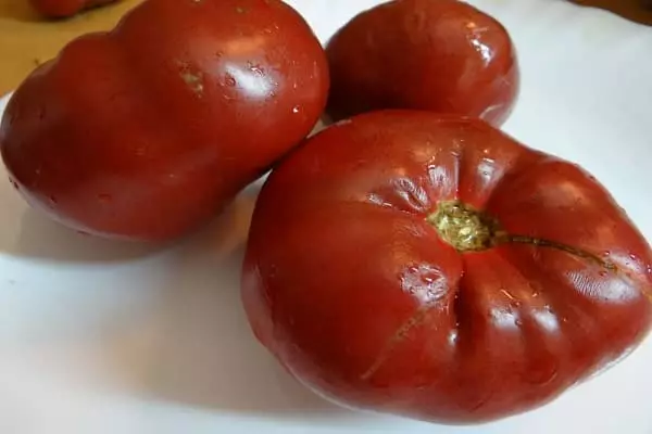 الشهية الطماطم