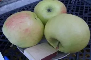 وصف شجرة التفاح في فينيكس ألتاي، المزايا والعيوب، العائد