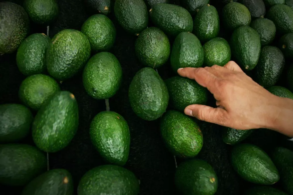 Rijpe avocado