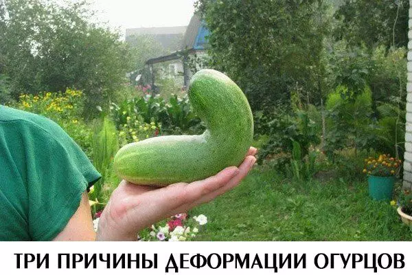 Crochet cucumber