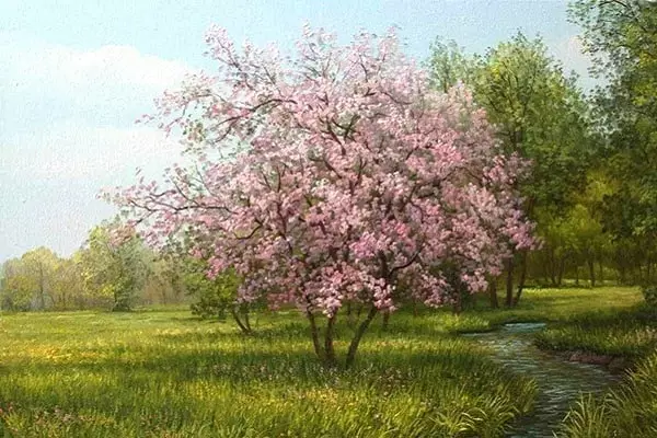 Gwanwyn Blossom