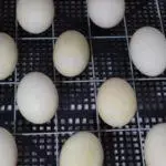 Επώαση αυγών πάπιας: Πίνακας και τρόπος λειτουργίας, Πρόγραμμα ανάπτυξης για όρους στο σπίτι 3352_1