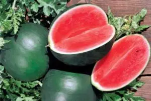 Description de la variété de la melon d'eau, sa culture dans le sol et la serre ouvertes, le temps de maturation