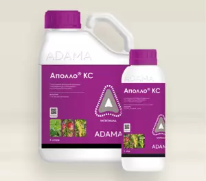 Pandhuan kanggo panggunaan acaricide apollo, dosis lan analog obat
