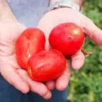 Tomat mesek kaléng: 2 anu enak dina jus tomat pikeun usum tiis 3397_2