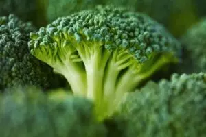 Sunaye na mafi kyawun kabeji broccoli tare da kwatanci