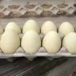 Яйця індоуткі: чи можна їсти і як виглядають, користь і шкода такої їжі 3456_6