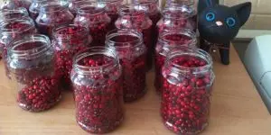 Resepten foar it koken Uroin Lingonberries foar de winter thús