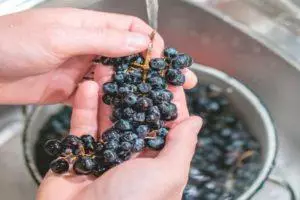 Moet u druiven, regels en functies voor het koken van wijn wassen