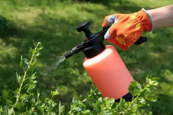 Tratamiento de plantas