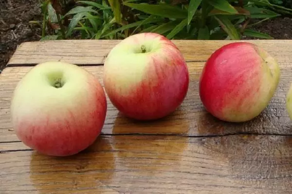 Omenat pöydällä