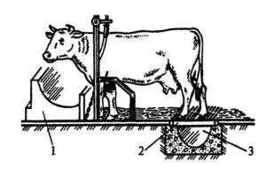 Maten en schema's voor stieren en hoe te bouwen