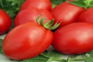 Beskrivelse og egenskaber ved tomatklasse phitous