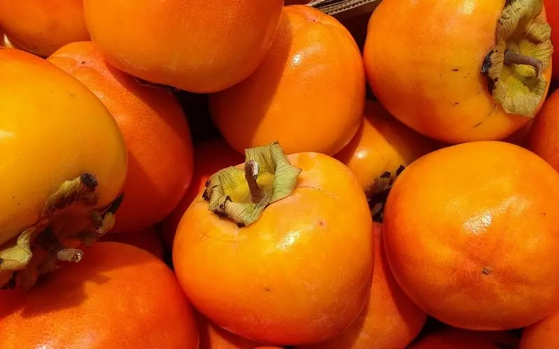 Frisk persimmon