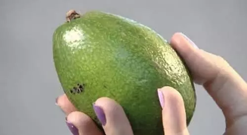 Glas avocado