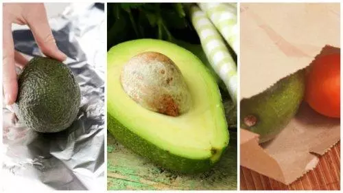 Green Avocado
