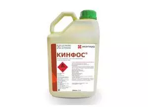 Anweisungen zur Verwendung und Zusammensetzung von Kinfos Insektizid, Dosierung und Analoga