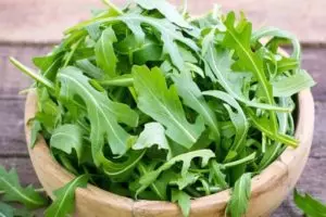 The best types and varieties of perennial arugula for growing in the open soil and greenhouse, planting and plant care