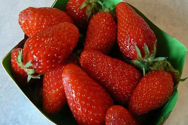 Strawberry Garigout: Beskrivning av sorten och egenskaper, landning och vårdregler