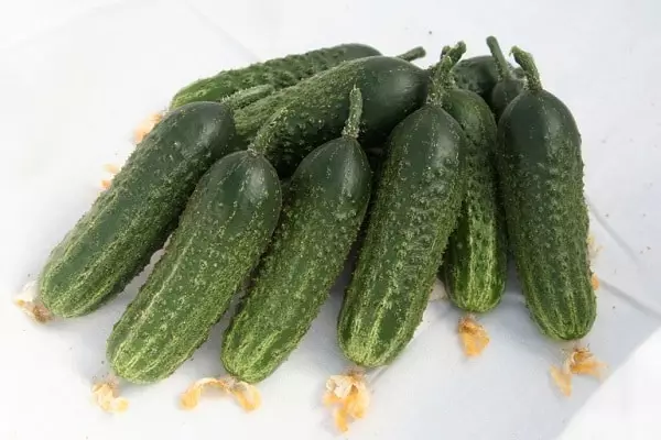 Gajerun cucumbers