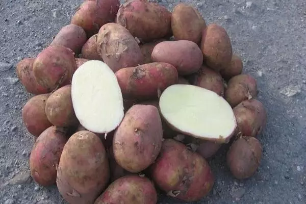 Amantoj de Potato