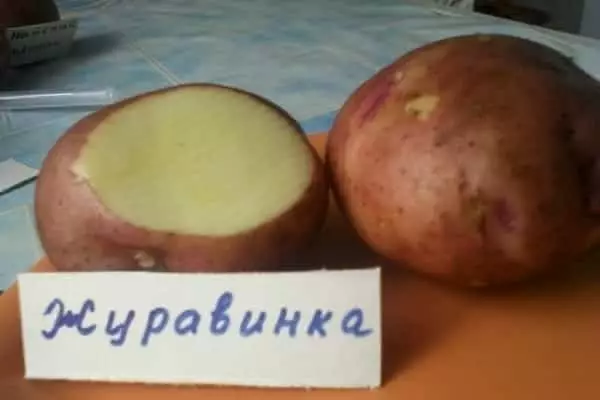土豆zhuravinka