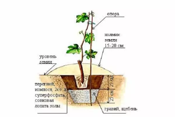 种植计划