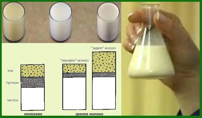 Formuła chemiczna mleka i tabeli substancji składających się z 100 gramów, temperatura
