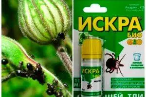 Mga tagubilin para sa paggamit ng spark bio at dosis ng gamot mula sa mga peste