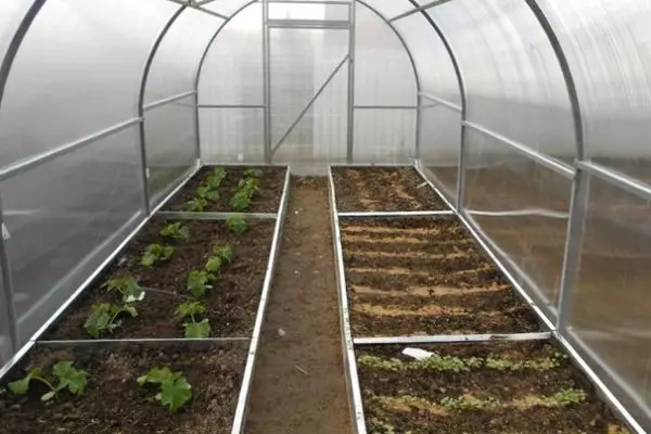 农作物的温室