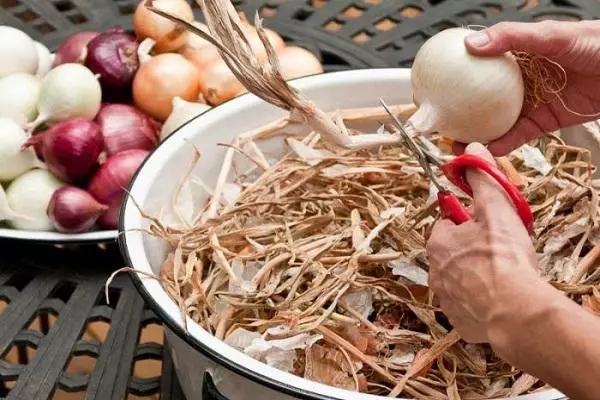 4 cara pangsaéna kumaha bawang garing di bumi kanggo usum tiris