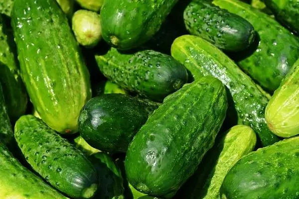 Cucumbers