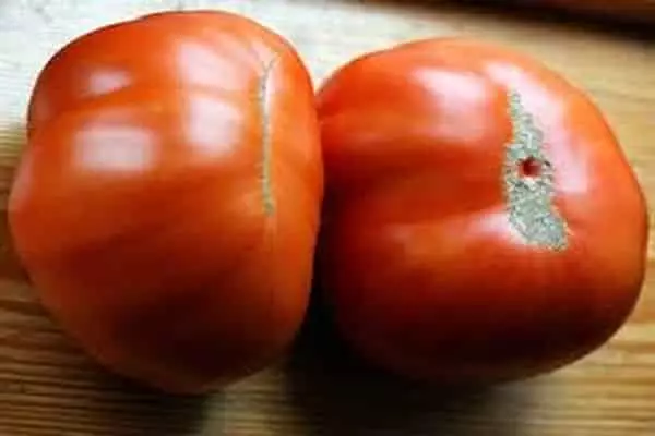 I-Vintage Tomati.