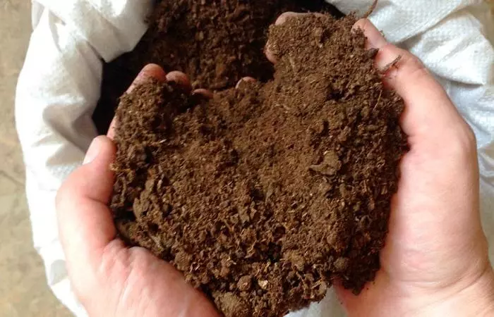 Inima solului
