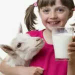 Защо козел мляко мирис: причини и как бързо да премахнете неприятната миризма 3822_4